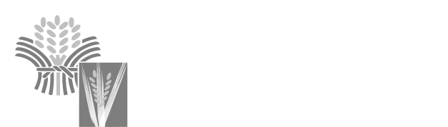 PhilRice | 36th UGNAY PALAY